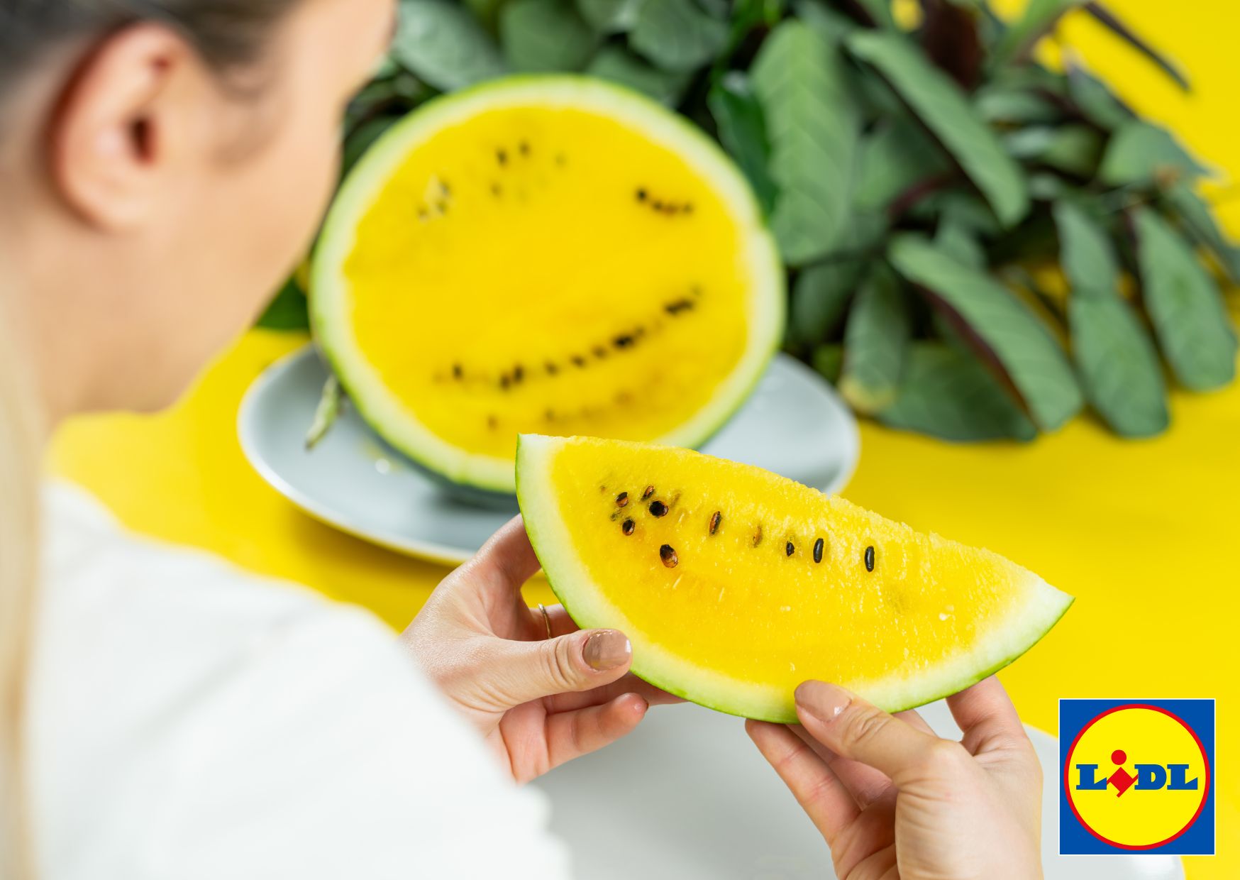 Lidl România susține agricultura locală: 5 tipuri de pepeni cultivați ...